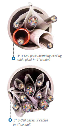 Standard MaxCell | Maxed Out ? MaxCell.